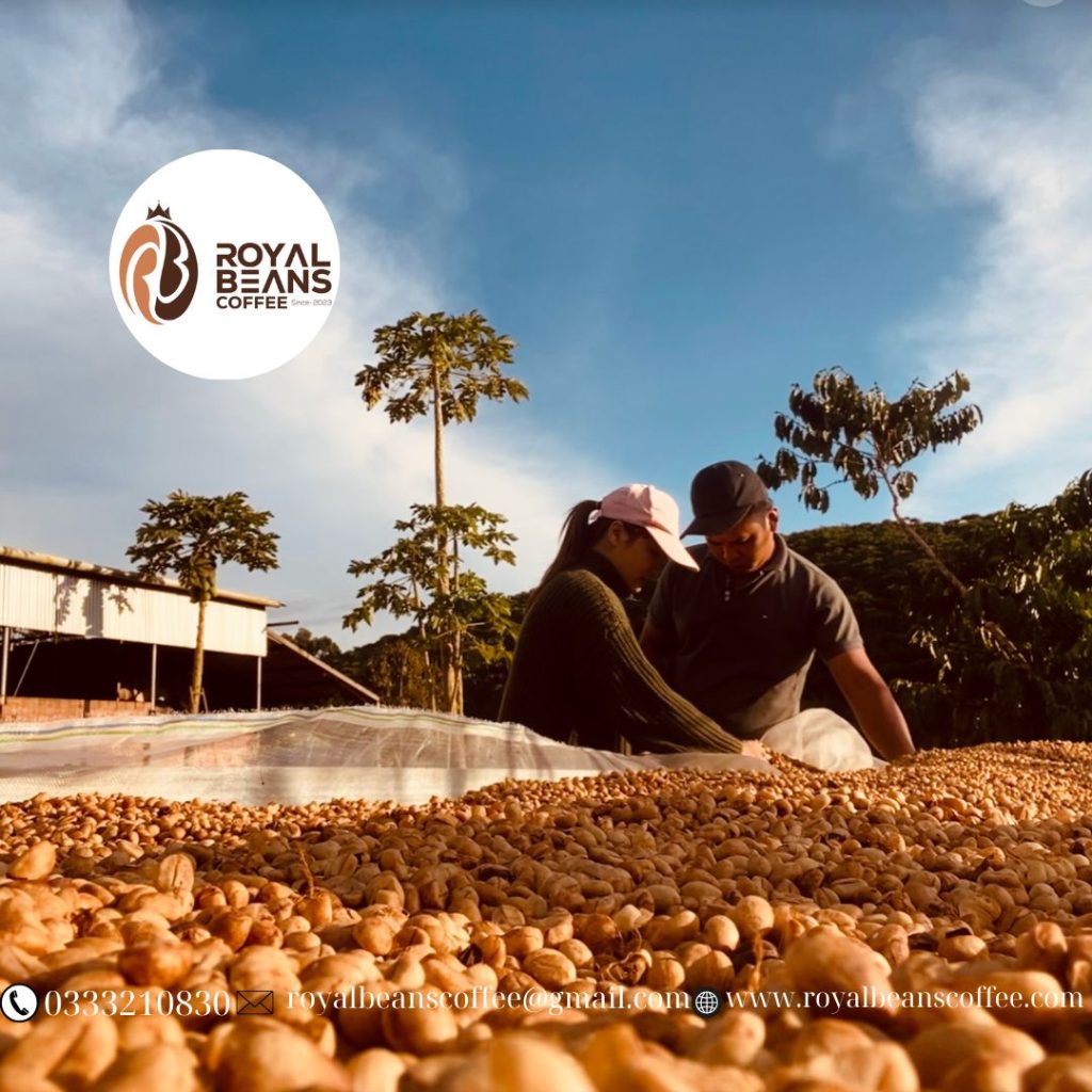 Câu Chuyện của Royalbeans_Coffee – RoyalBeans Coffee